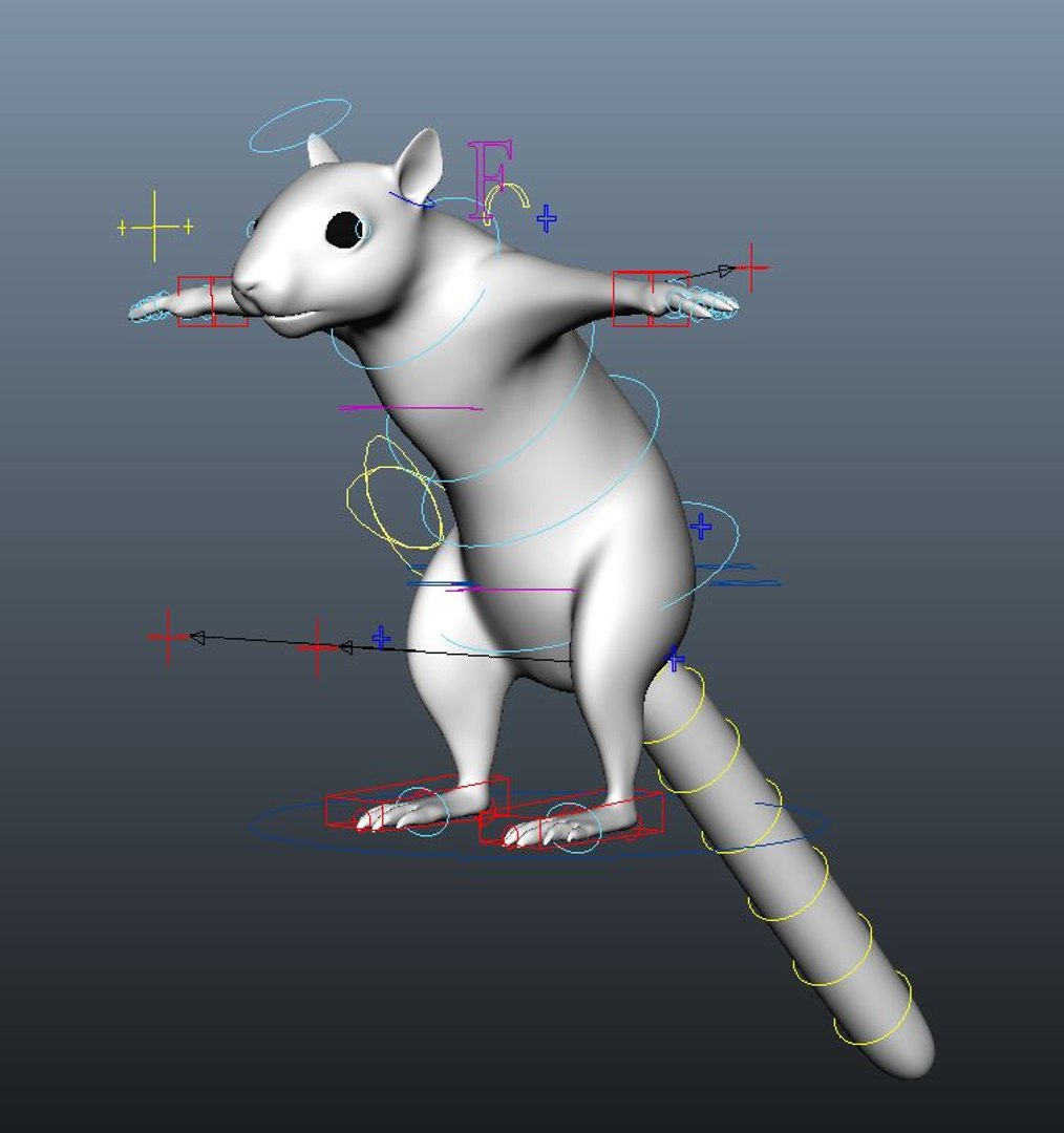 3d Model Red Squirrel
