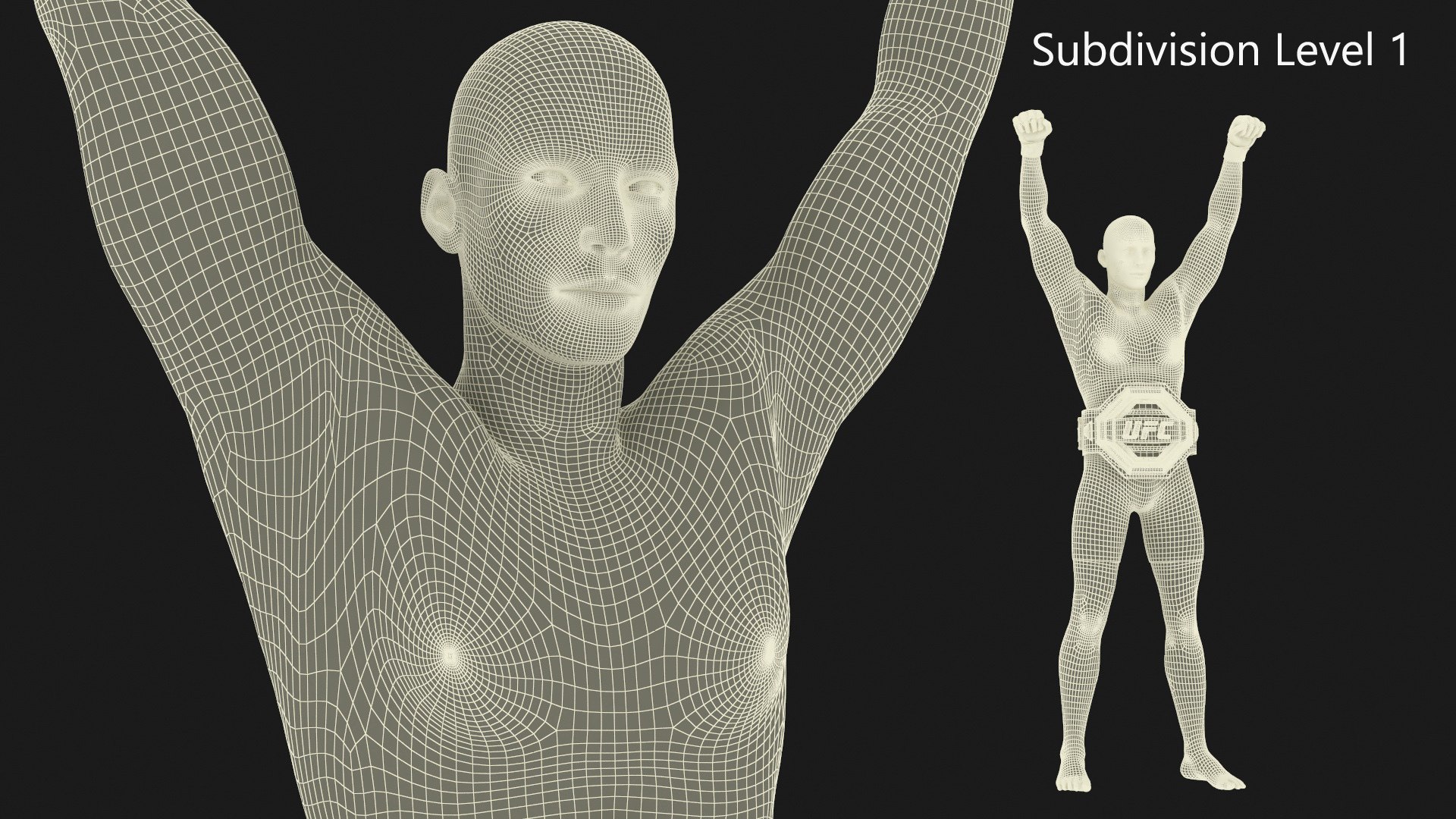 Fighter UFC MMA With Belt Wins Animated Fur Rigged 3D Model ...