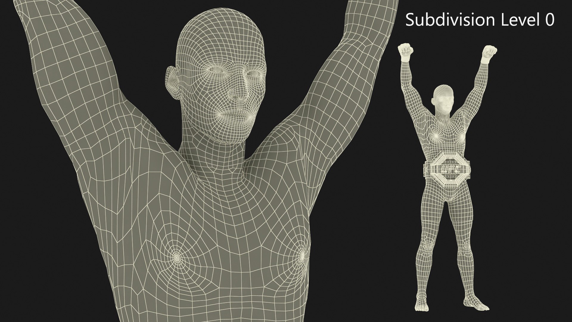 Fighter UFC MMA With Belt Wins Animated Fur Rigged 3D Model ...