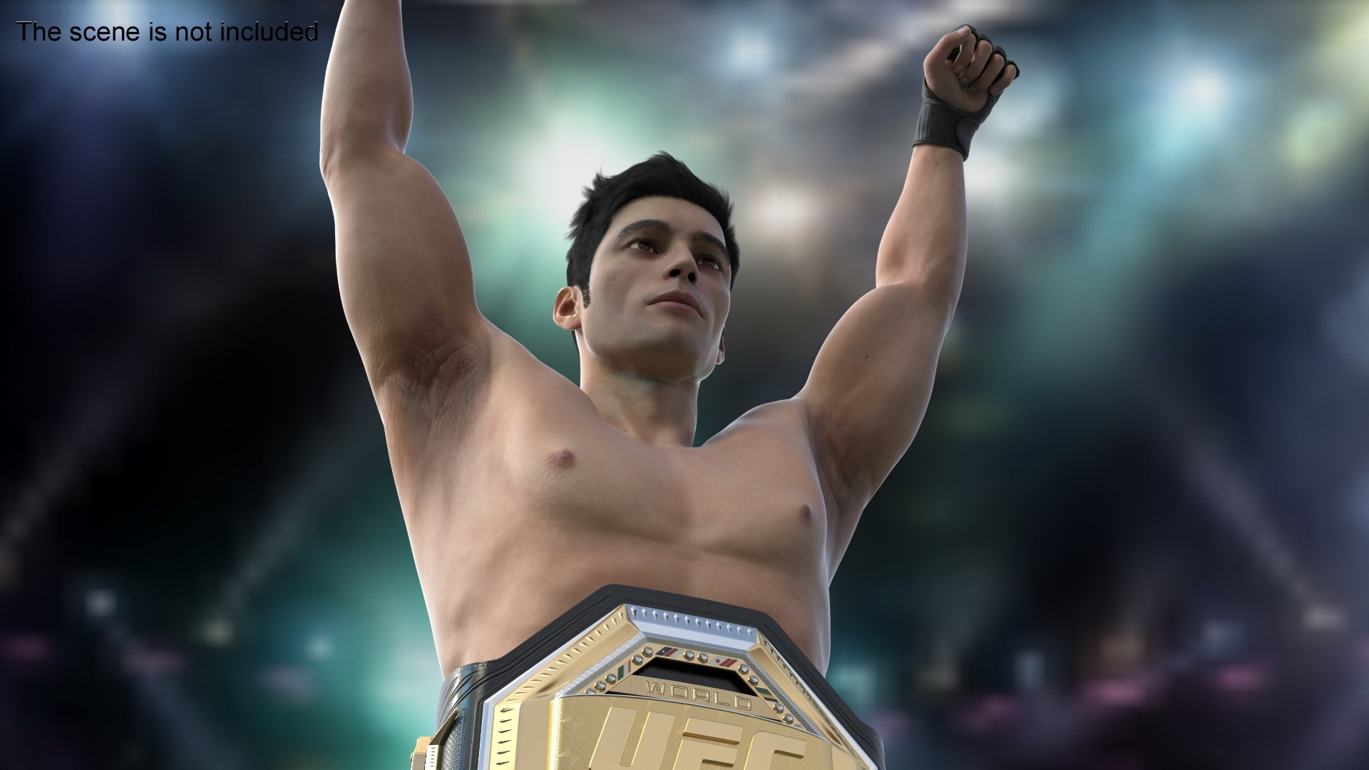 Fighter UFC MMA With Belt Wins Animated Fur Rigged 3D Model ...