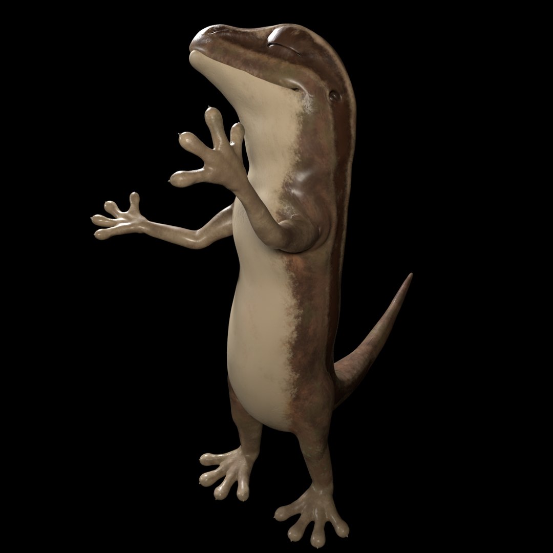 Lizard Cartoon 3D Model - TurboSquid 1460090