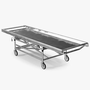 3D Morgue Gurney With Female Corpse And Tray - TurboSquid 2015824