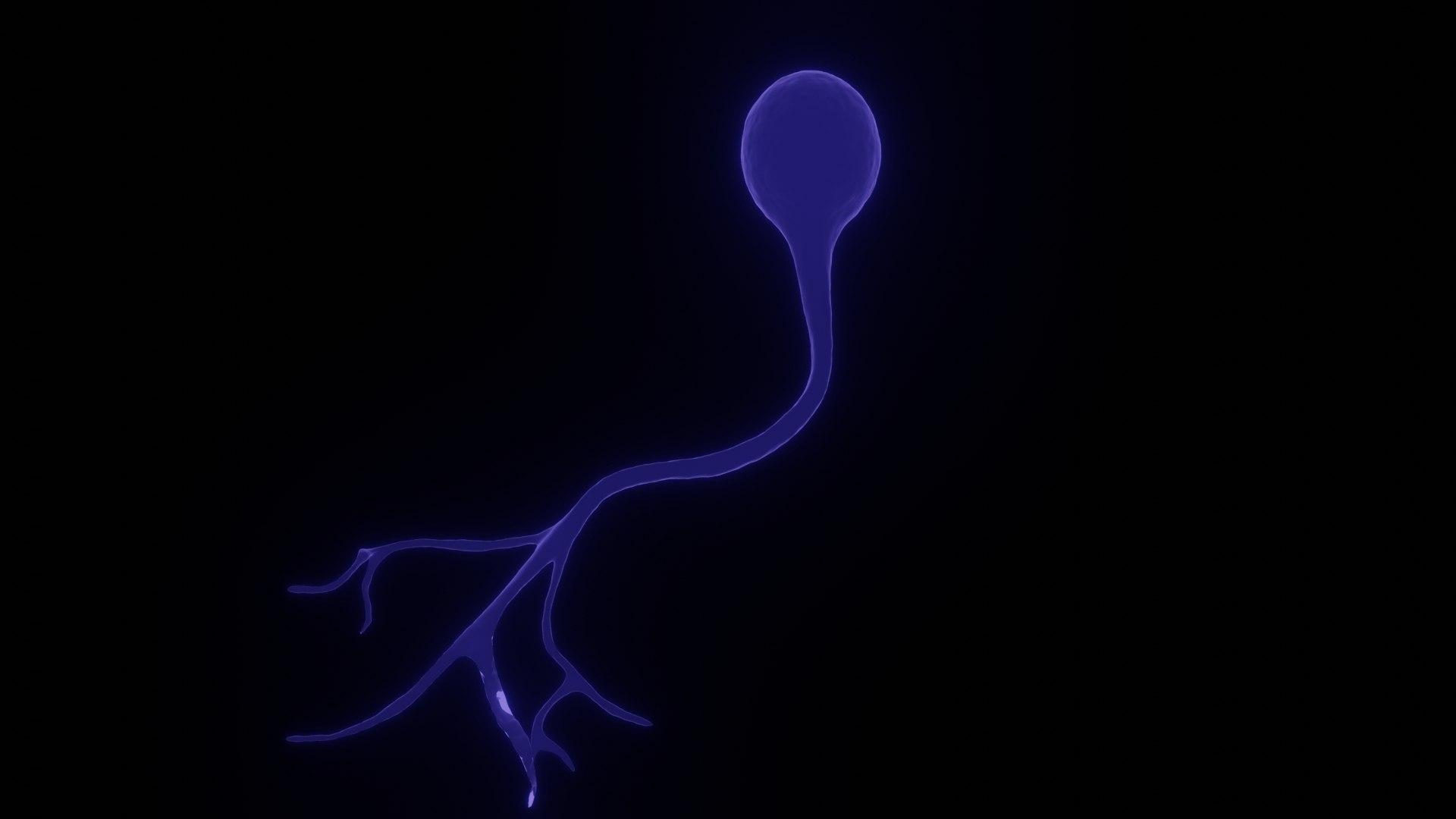 3D Unipolar Neuron Model - TurboSquid 2052421