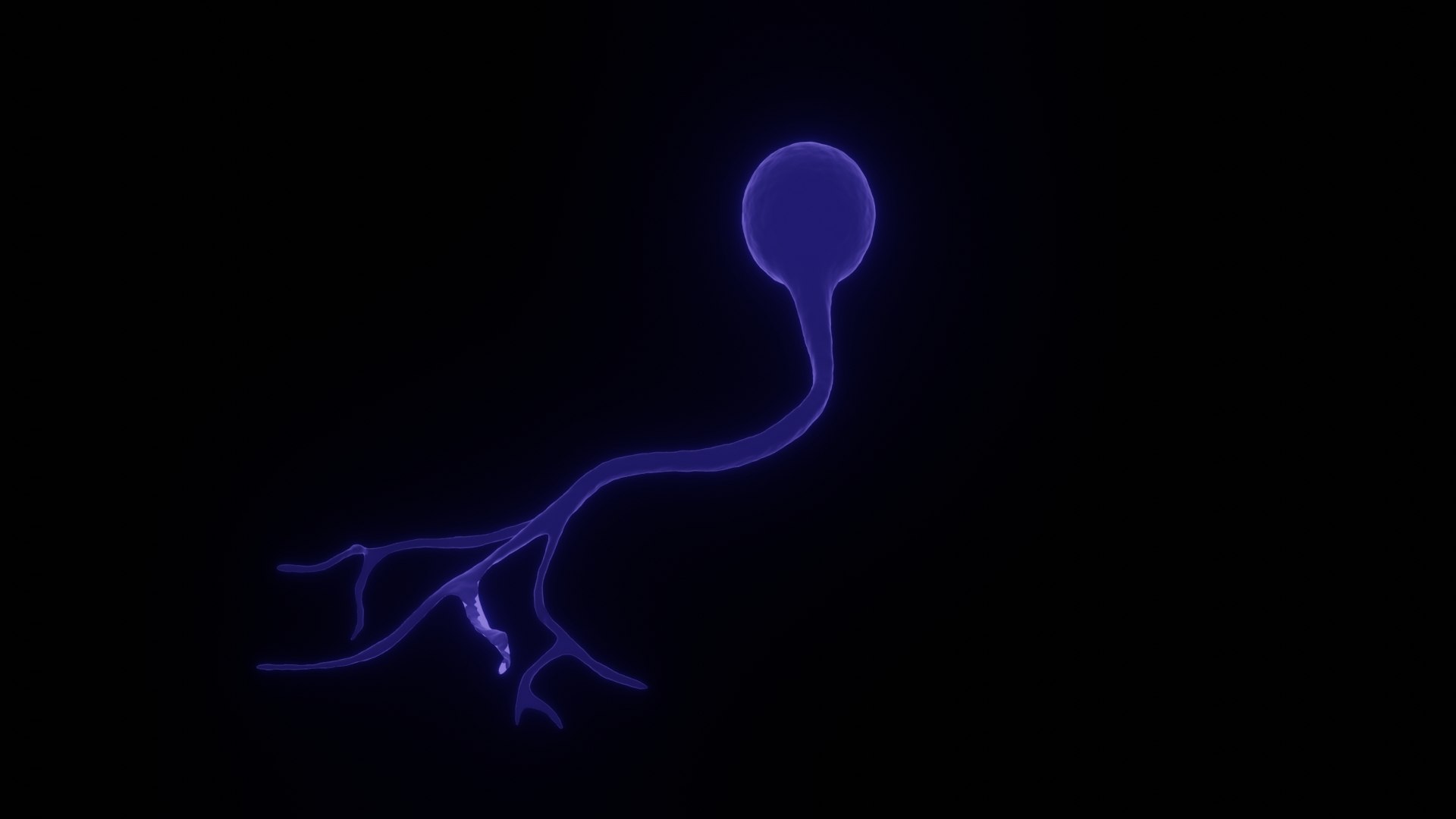3D Unipolar Neuron Model - TurboSquid 2052421