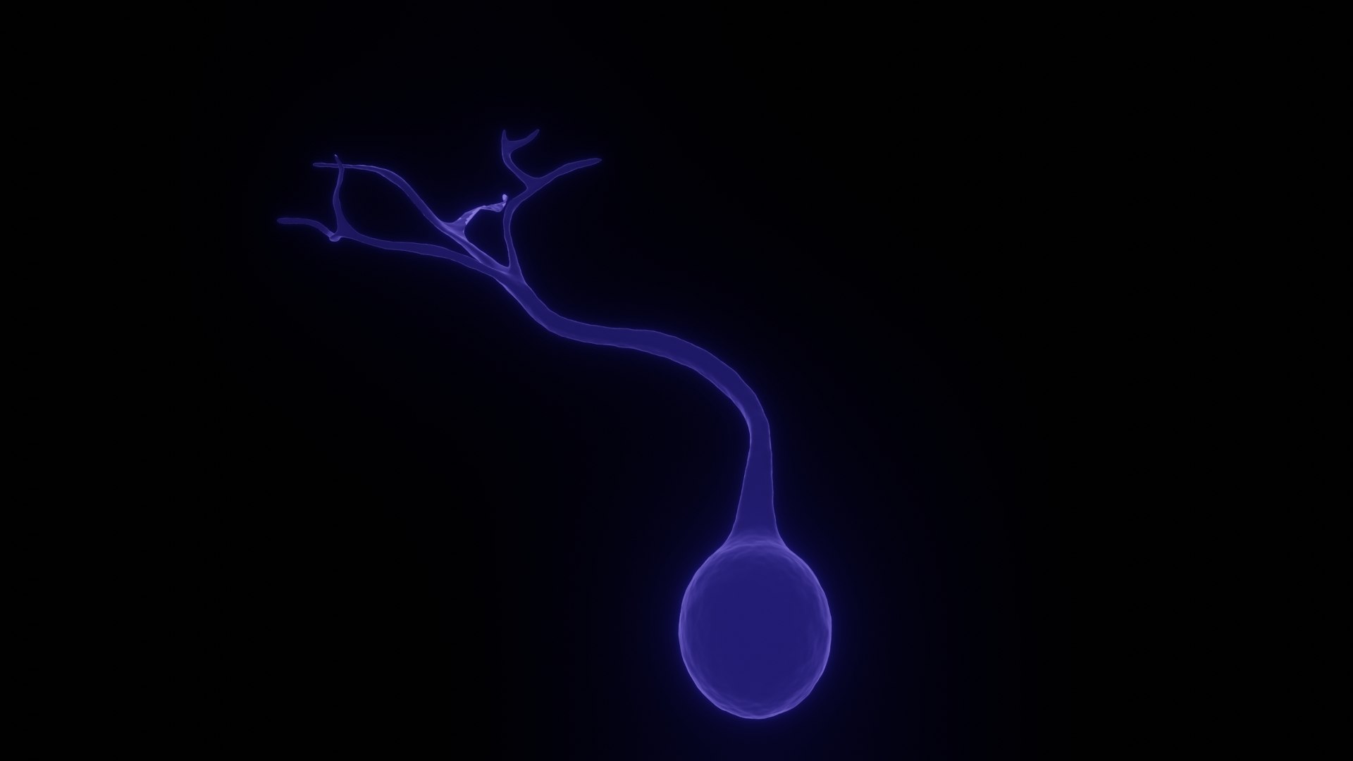 3D Unipolar Neuron Model - TurboSquid 2052421
