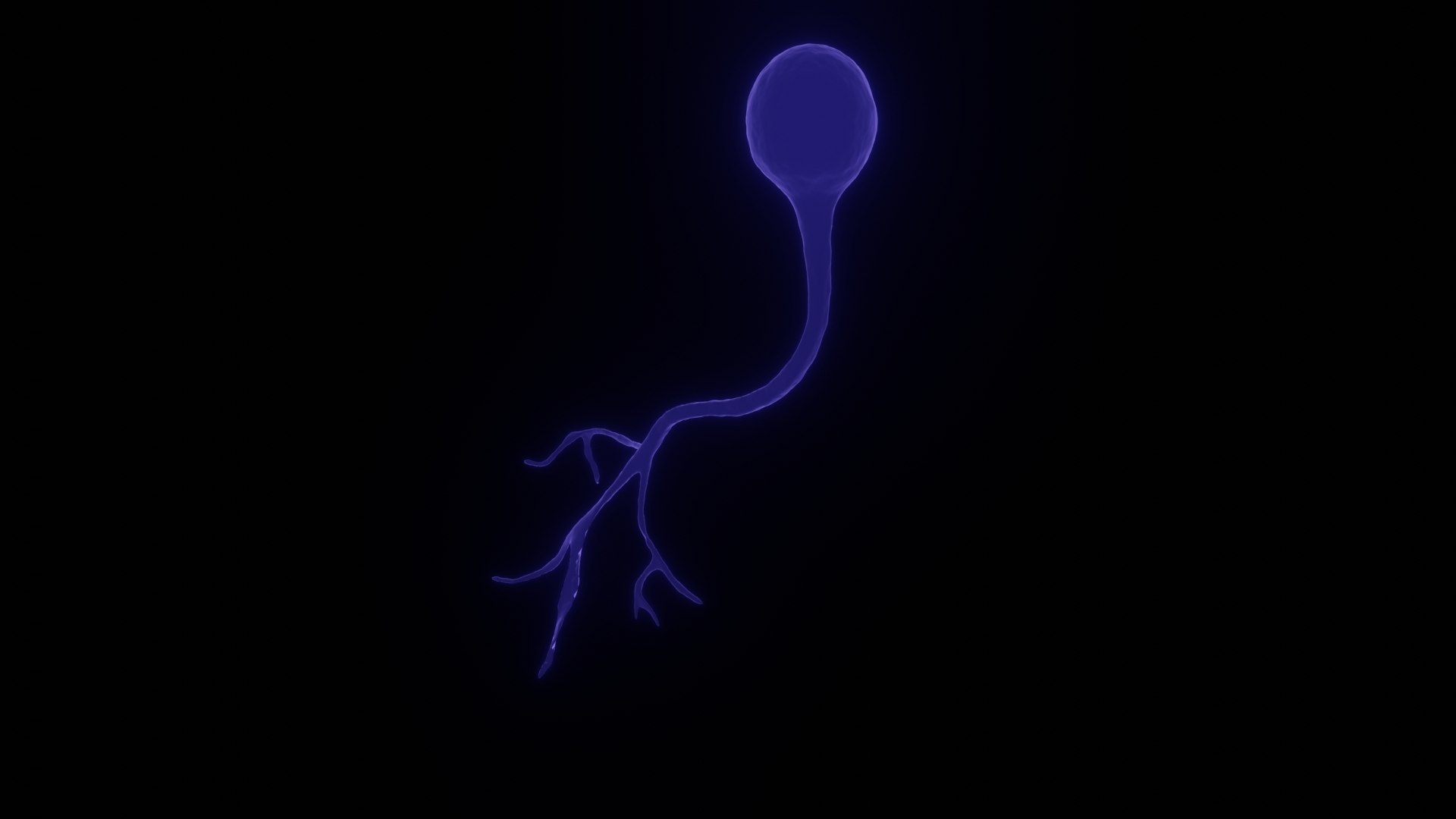 3D Unipolar Neuron Model - TurboSquid 2052421