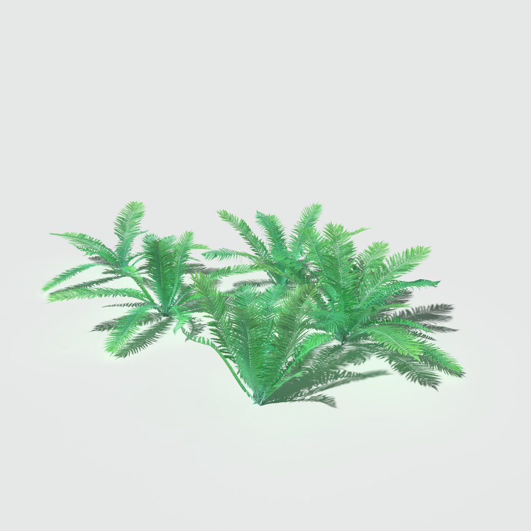 Fern Pack 3D Model - TurboSquid 1436343