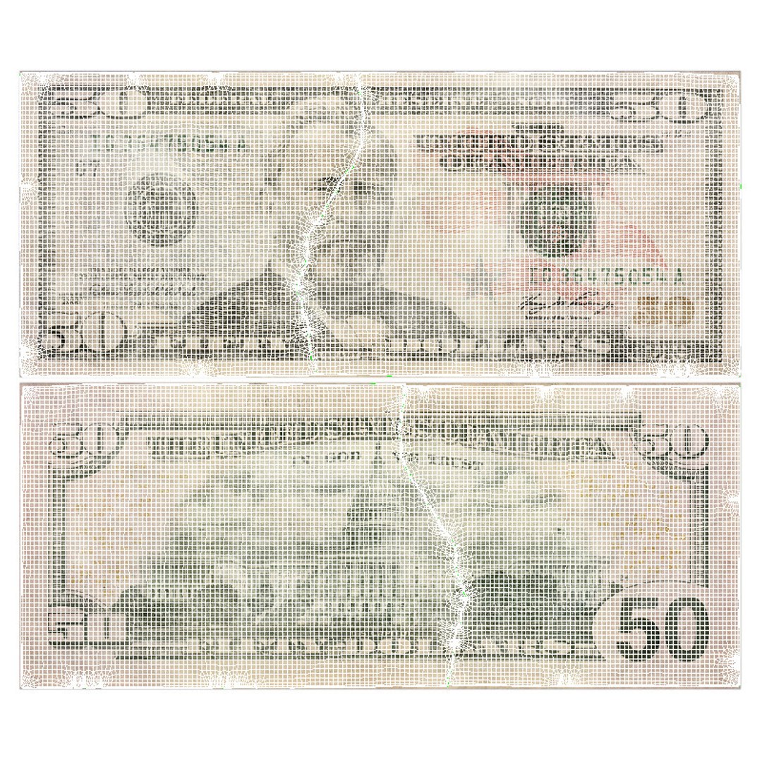 50 dollar bill torn max
