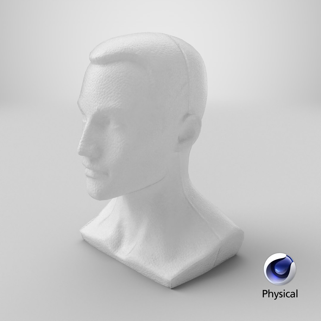 Styrofoam Male Mannequin Head With Hair 3D Model - TurboSquid 2220678