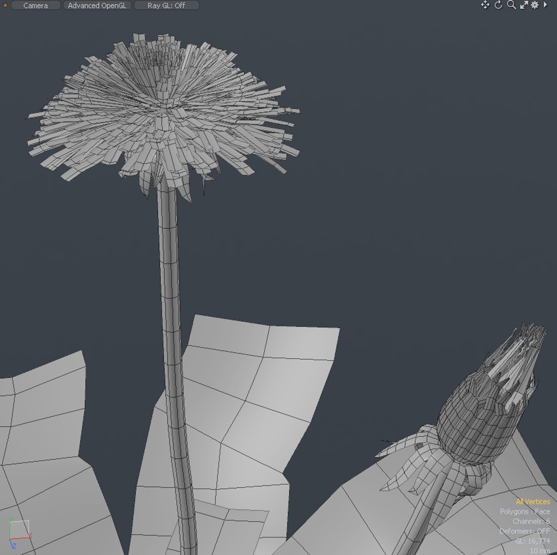 3d Dandelion
