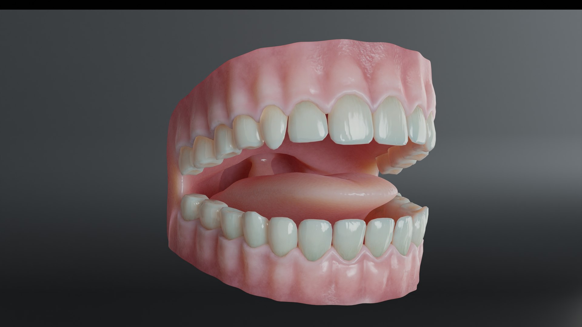 Human Teeth 3D - TurboSquid 2156466