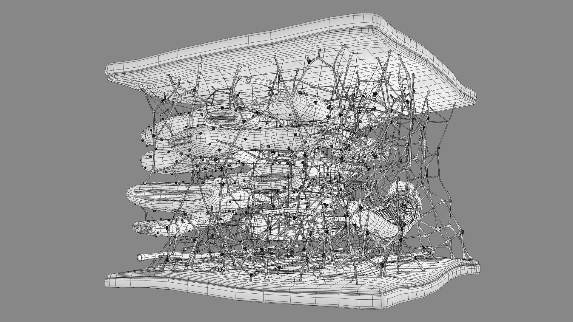3D cytoskeleton cell - TurboSquid 1624164