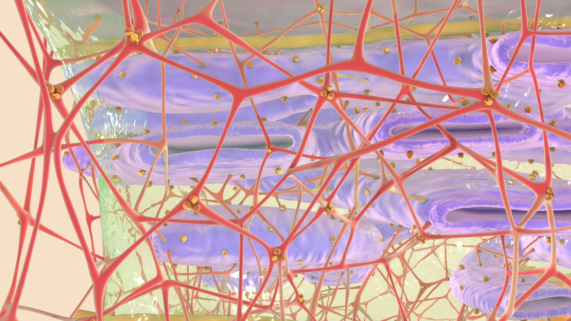 3D cytoskeleton cell - TurboSquid 1624164