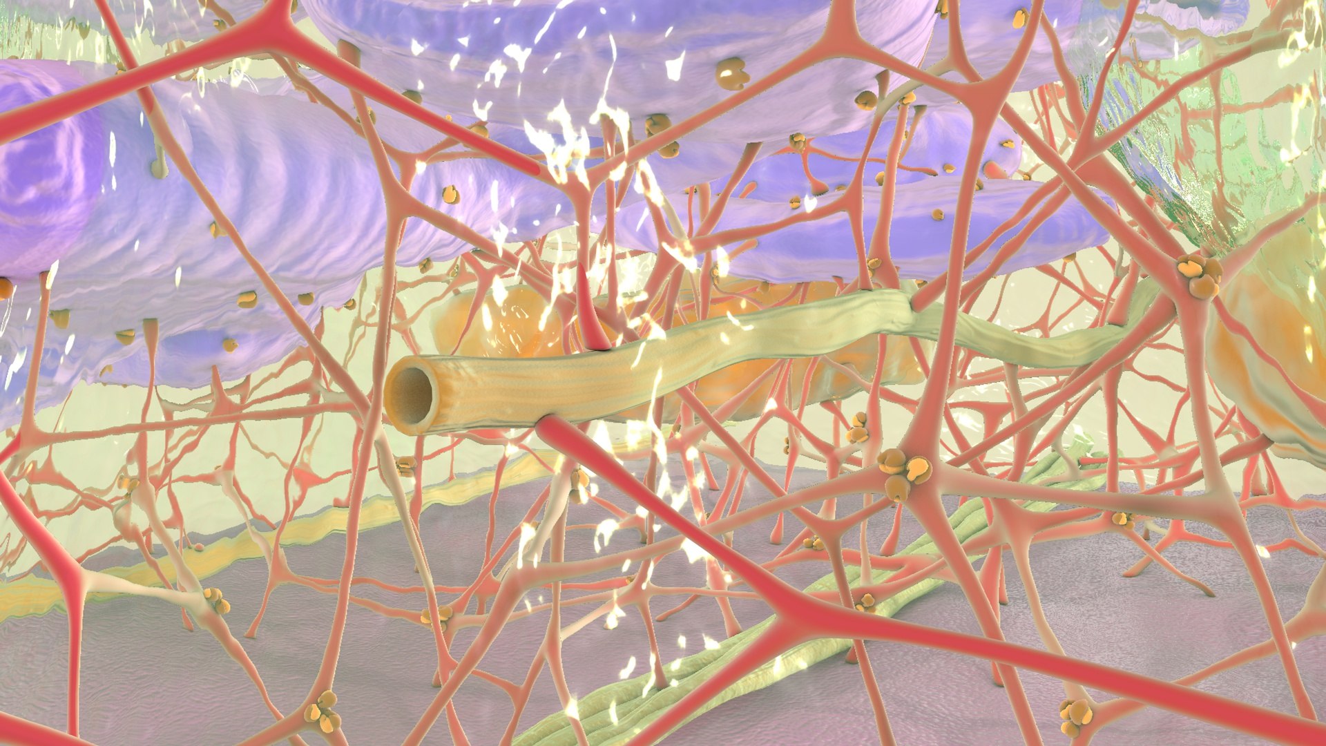 3D cytoskeleton cell - TurboSquid 1624164