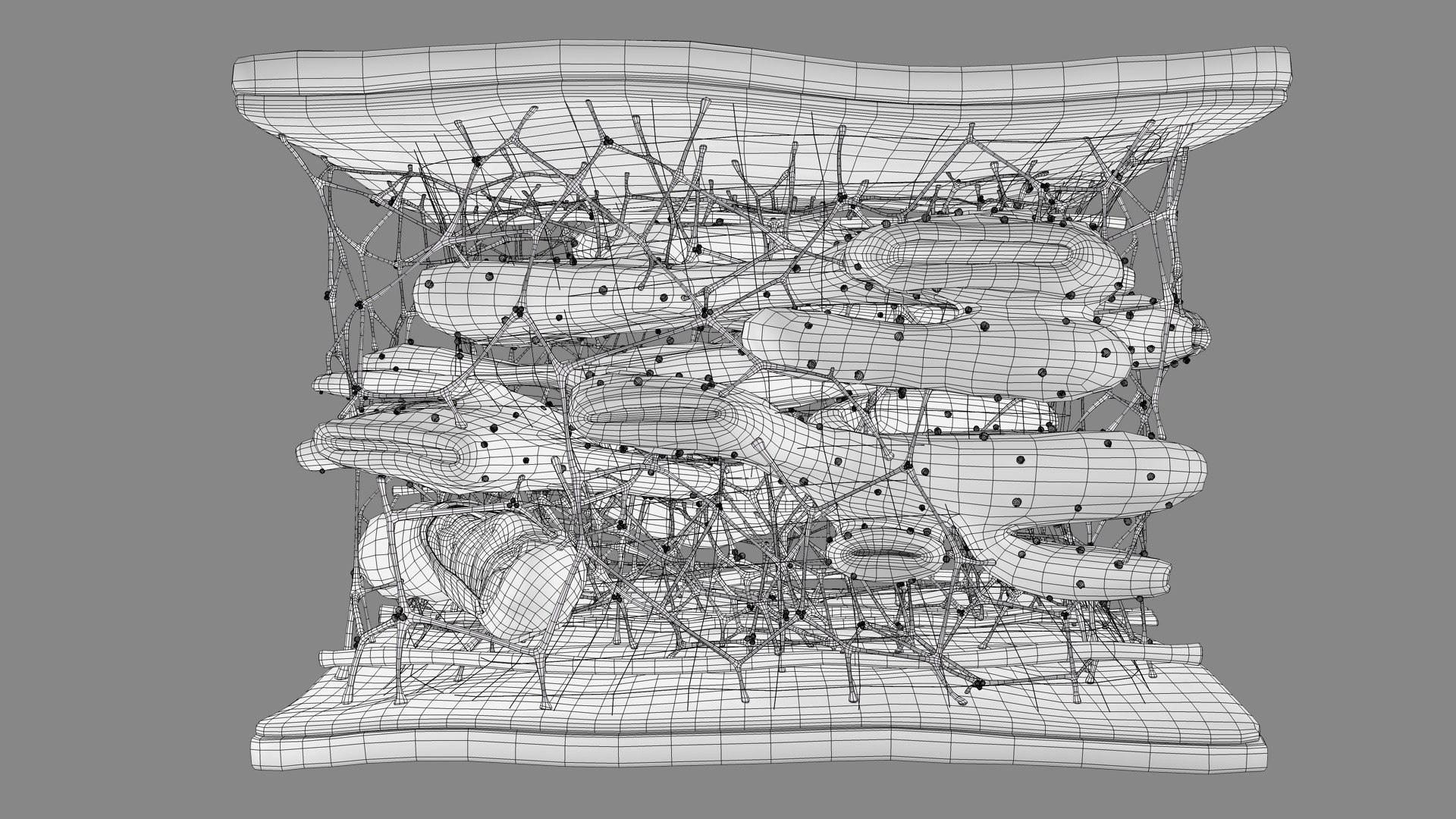 3D cytoskeleton cell - TurboSquid 1624164