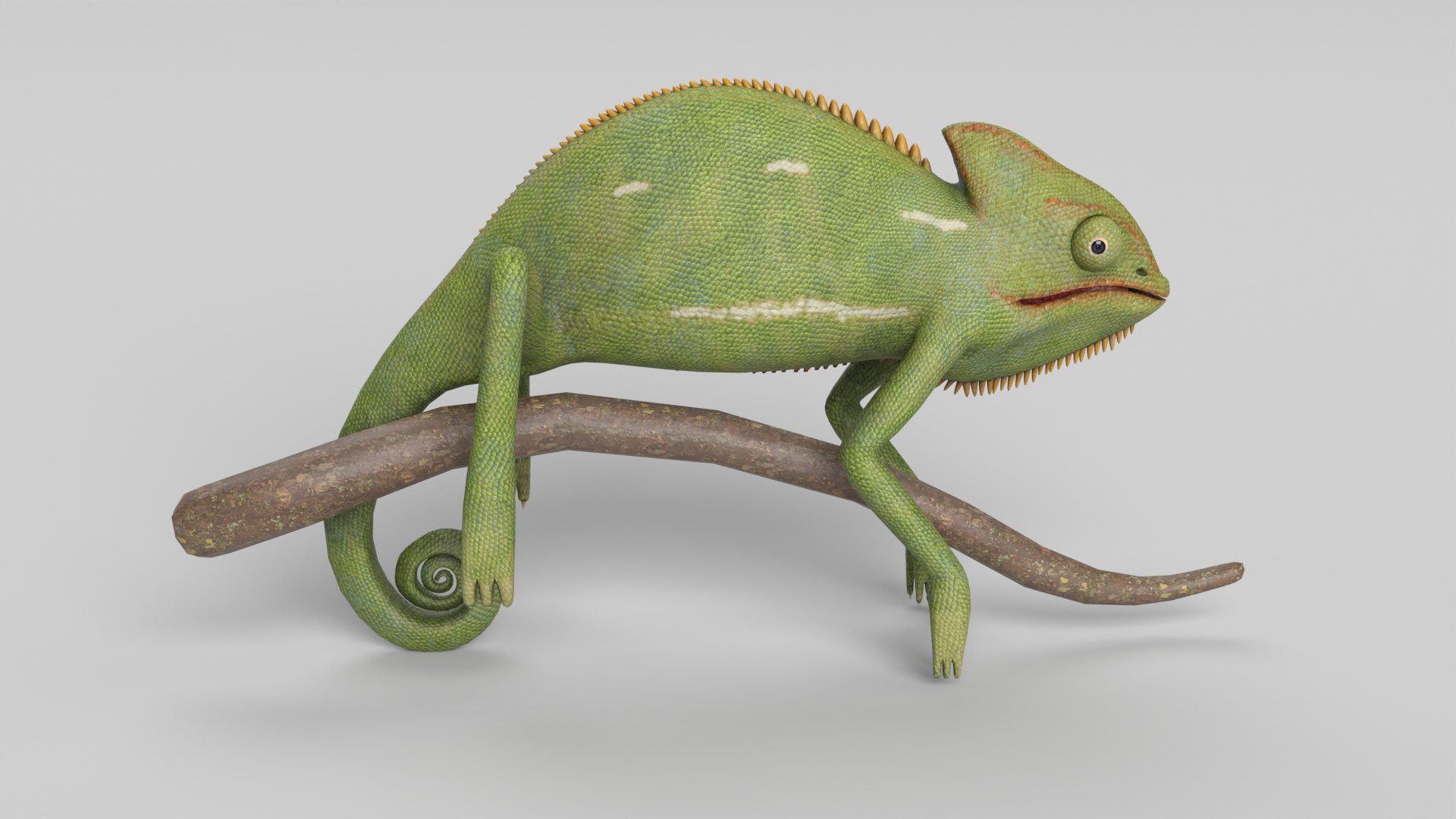 Chameleon 3D Model - TurboSquid 2140070