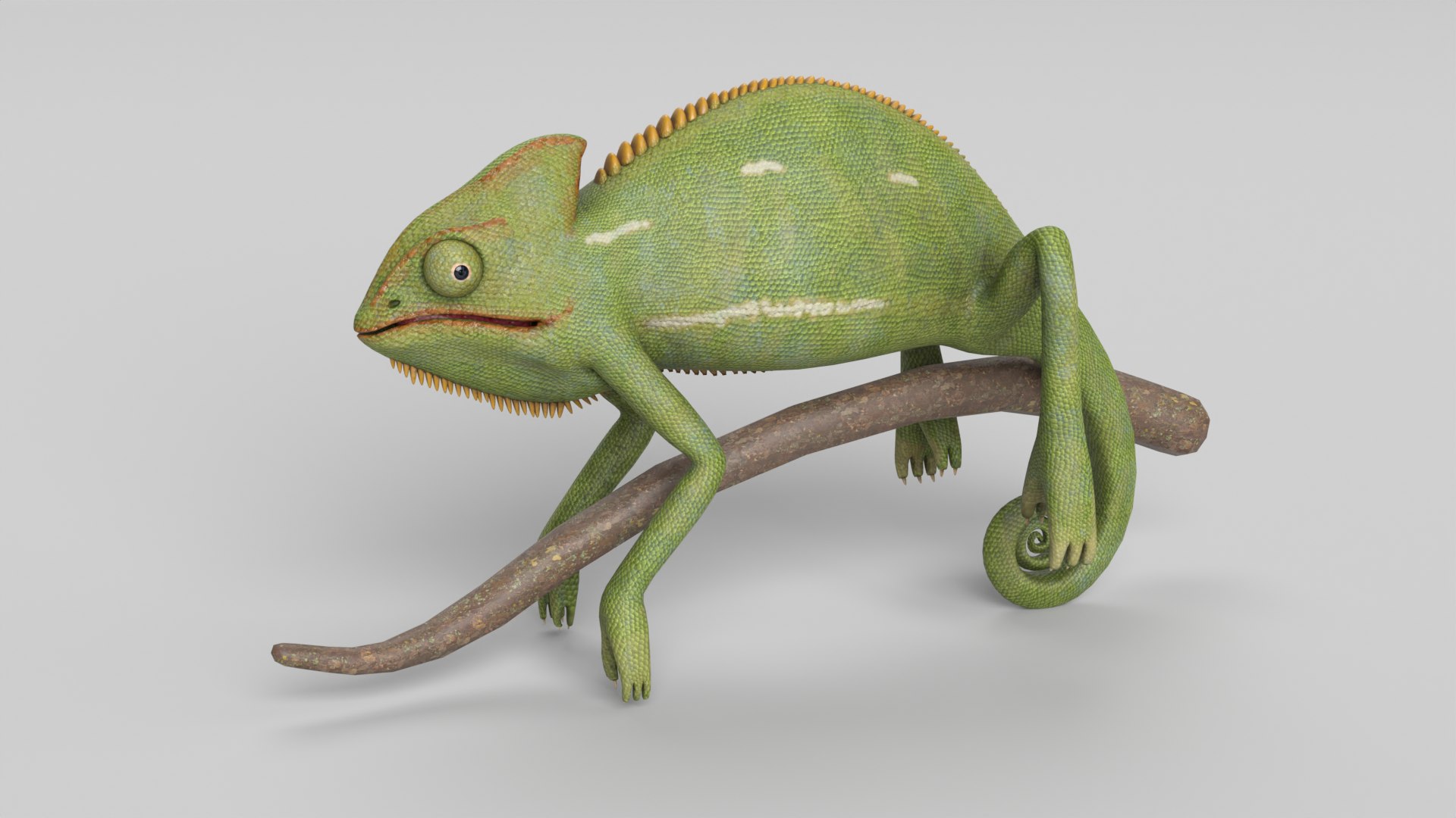 Chameleon 3D Model - TurboSquid 2140070