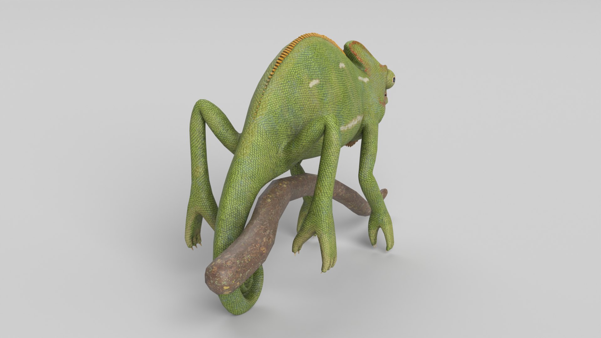Chameleon 3D Model - TurboSquid 2140070