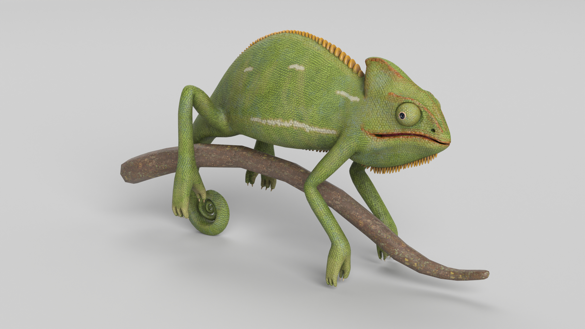 Chameleon 3D Model - TurboSquid 2140070