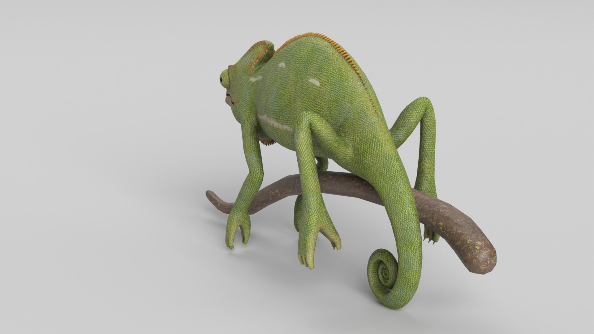 Chameleon 3D Model - TurboSquid 2140070
