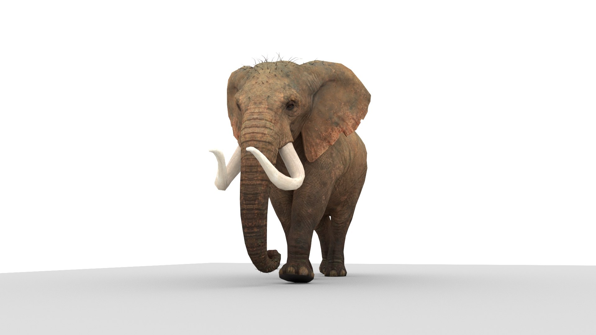 Elephant Walking And Run 3D Model - TurboSquid 2090332