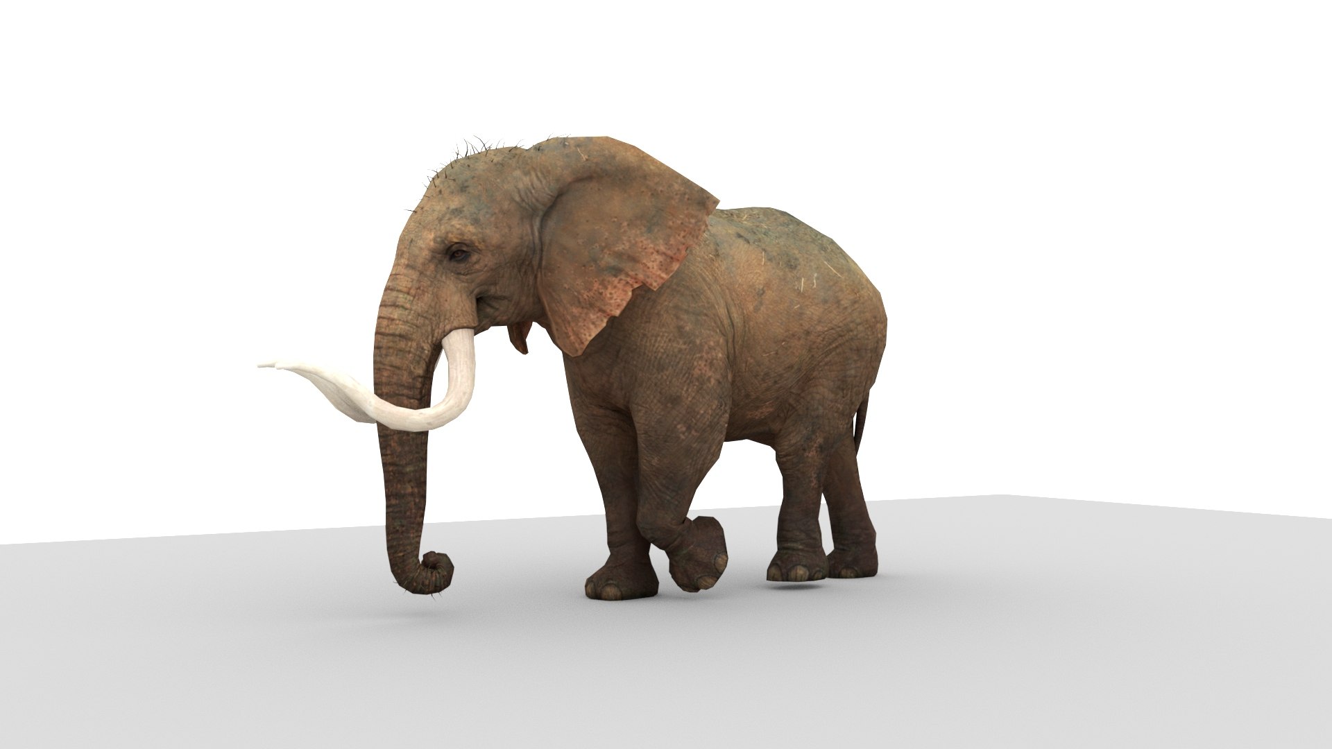 Elephant Walking And Run 3D Model - TurboSquid 2090332