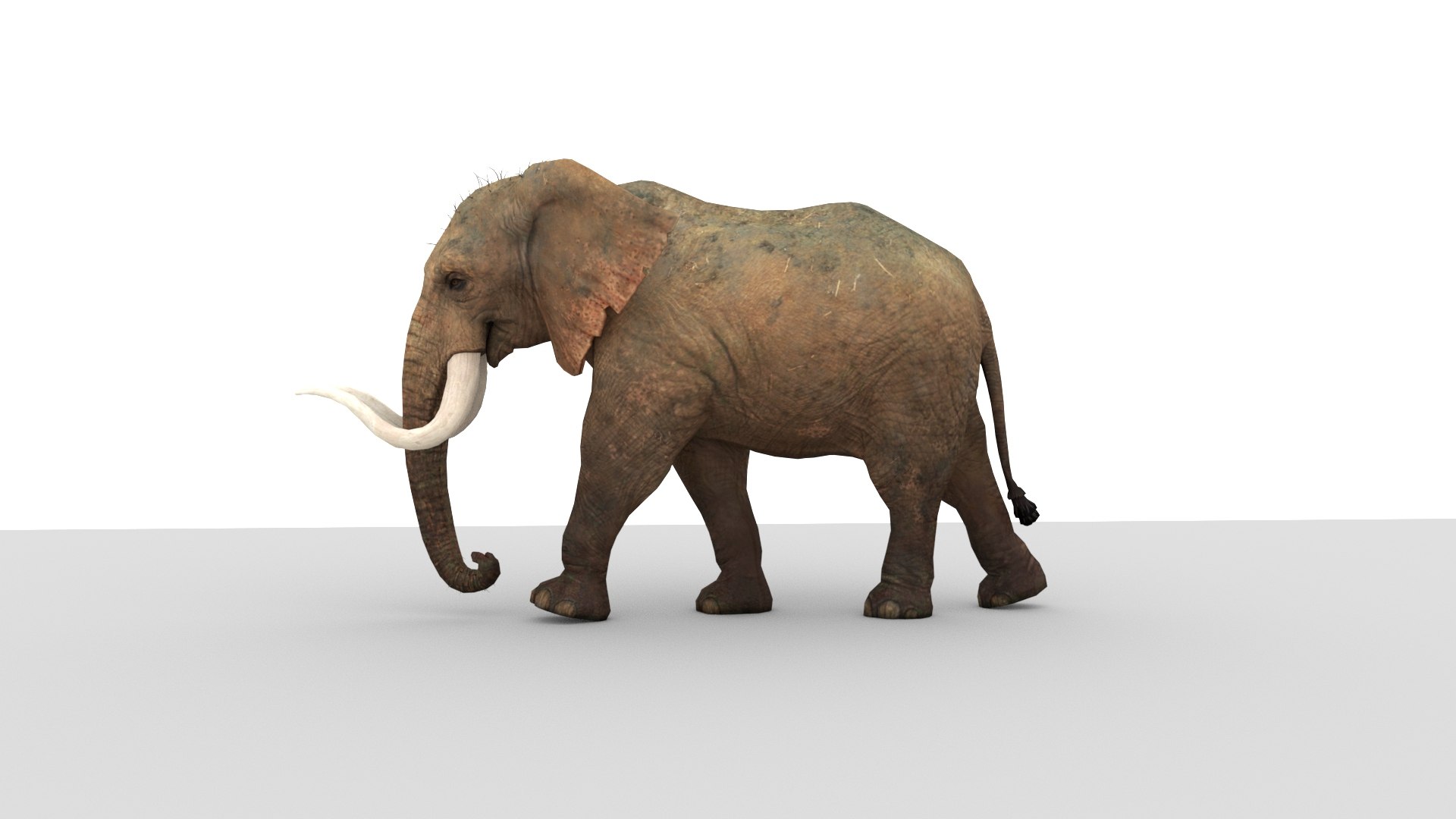 Elephant Walking And Run 3D Model - TurboSquid 2090332
