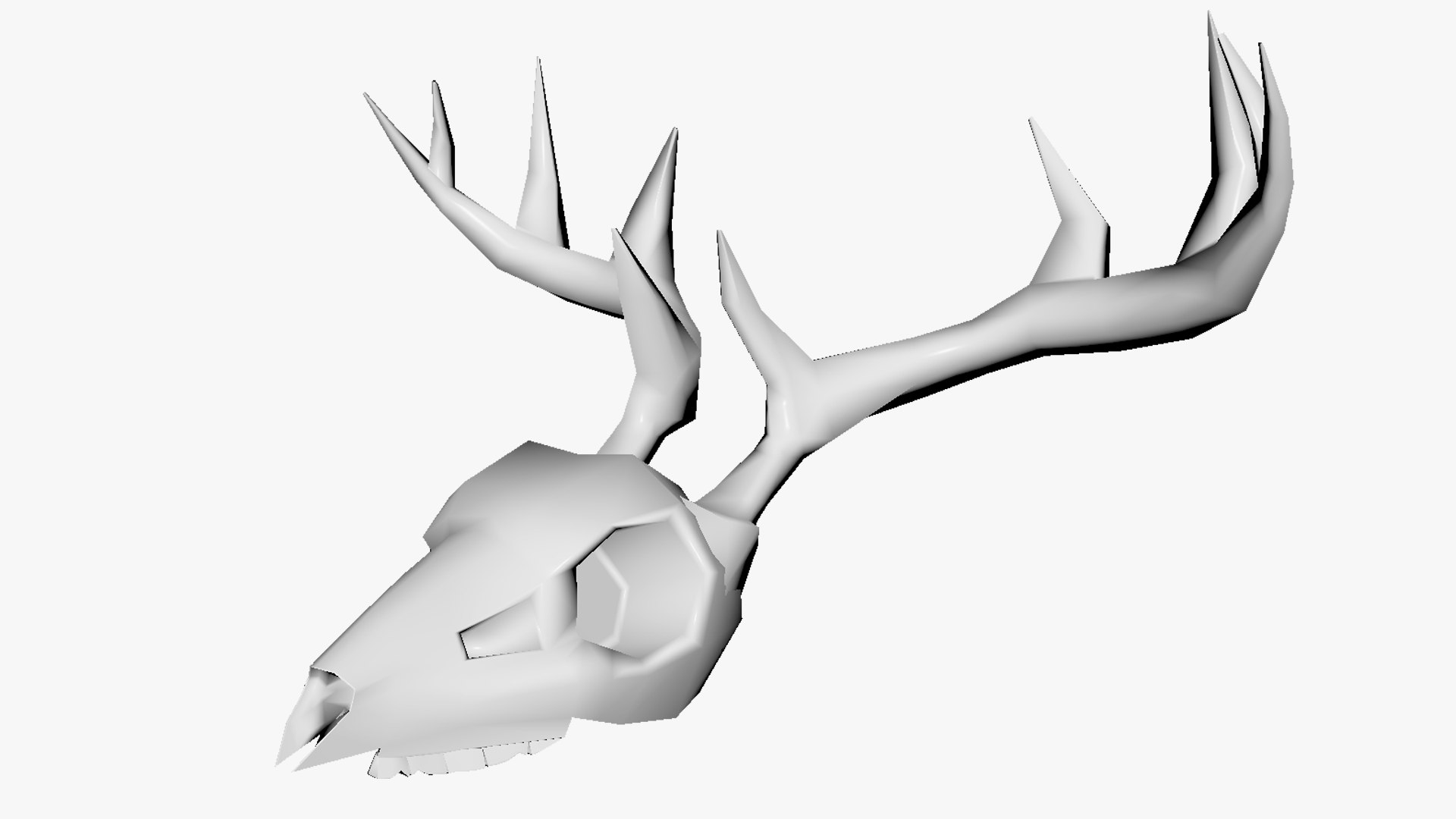 3D Deer Skull - TurboSquid 2042459
