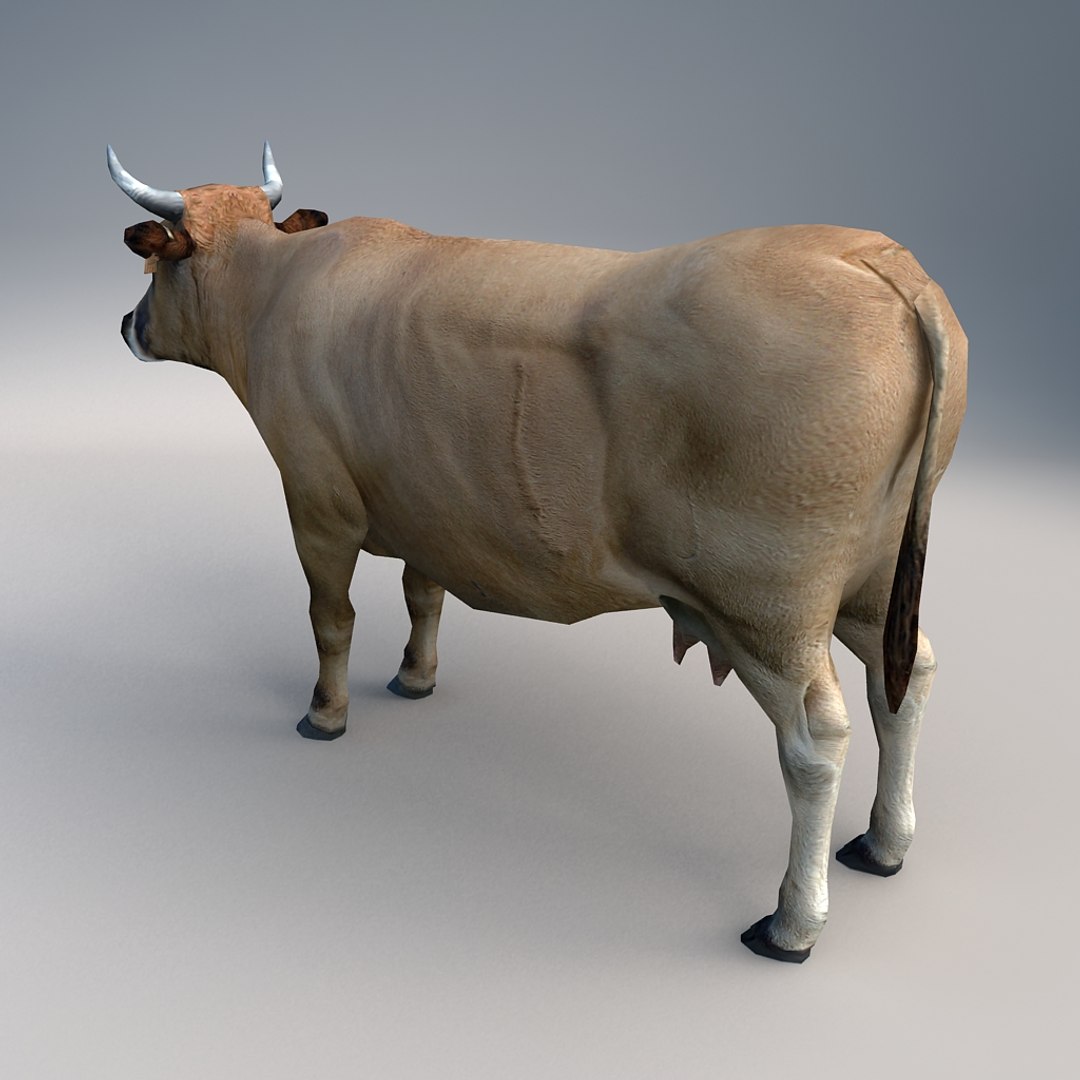 Cow 01 3d Model