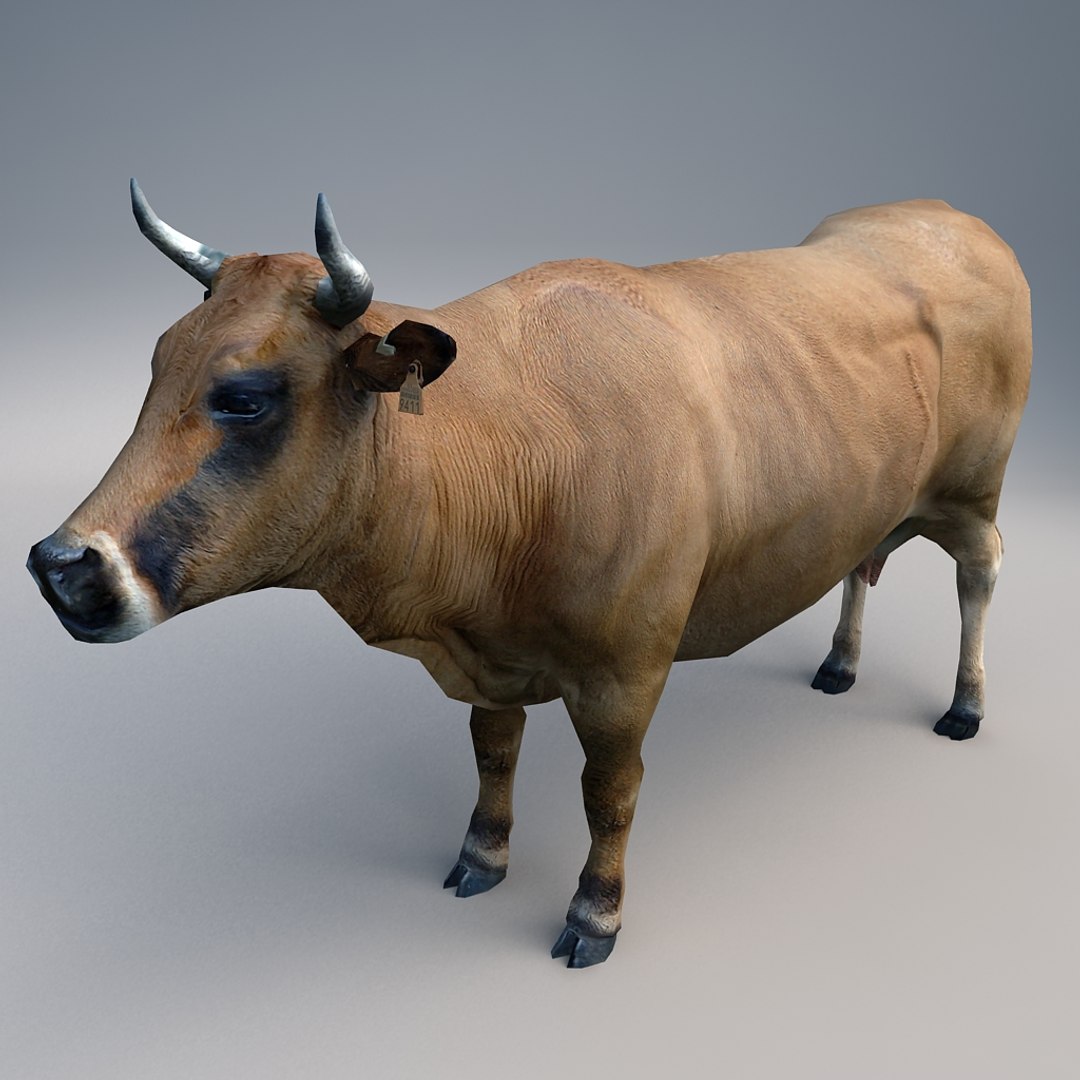 Cow 01 3d Model