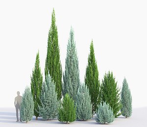 juniperus scopulorum skyrocket 3d max