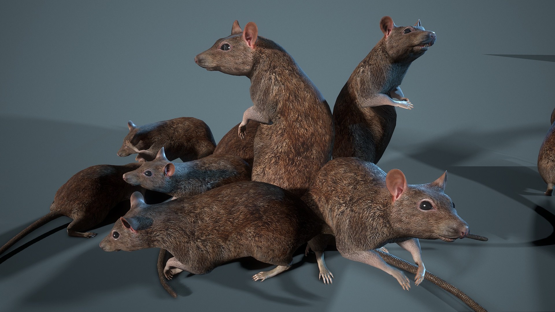3D Model Rat 12-animations Game Ready Props Low-poly 3D Model ...