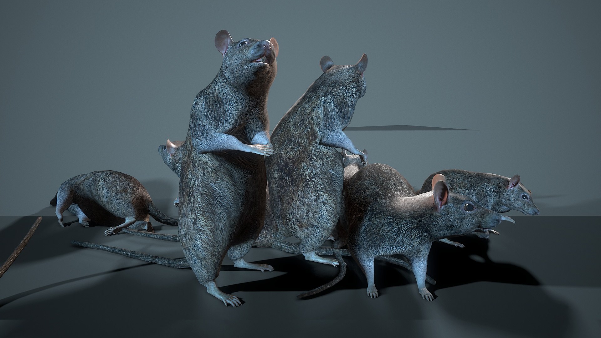 3D Model Rat 12-animations Game Ready Props Low-poly 3D Model ...
