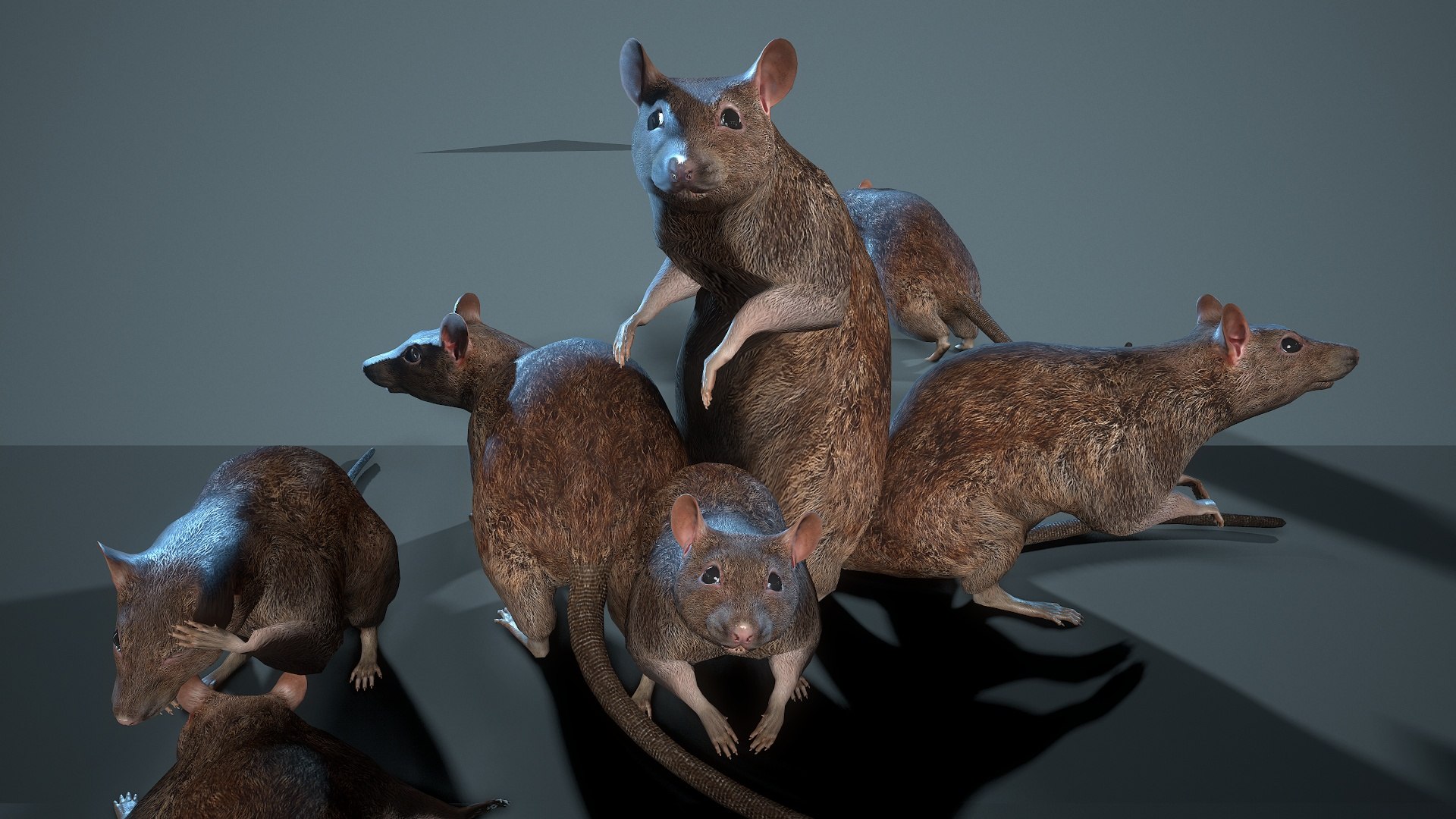 3D Model Rat 12-animations Game Ready Props Low-poly 3D Model ...