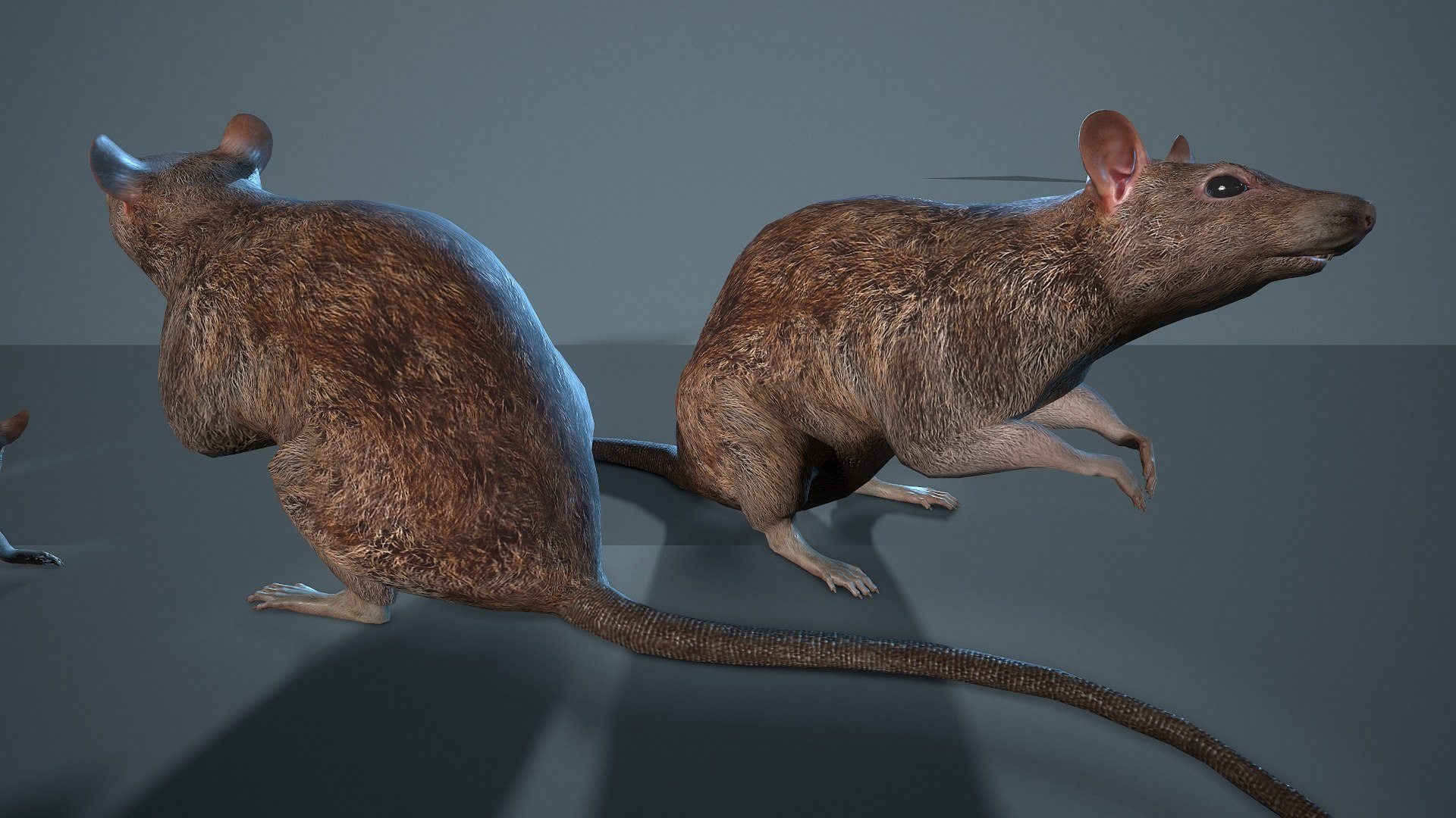 3D Model Rat 12-animations Game Ready Props Low-poly 3D Model ...