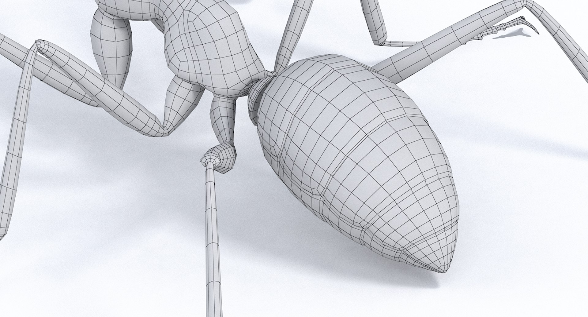 3D realistic ant real - TurboSquid 1339956