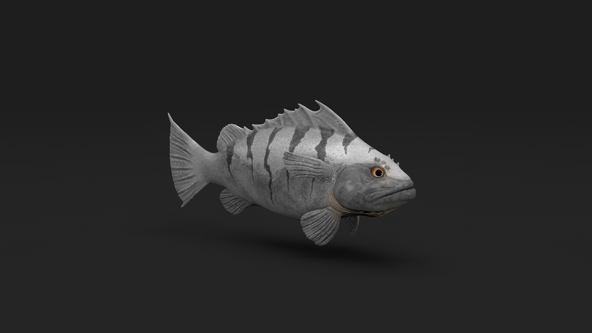 Cod Fish 3D Model - TurboSquid 2369842