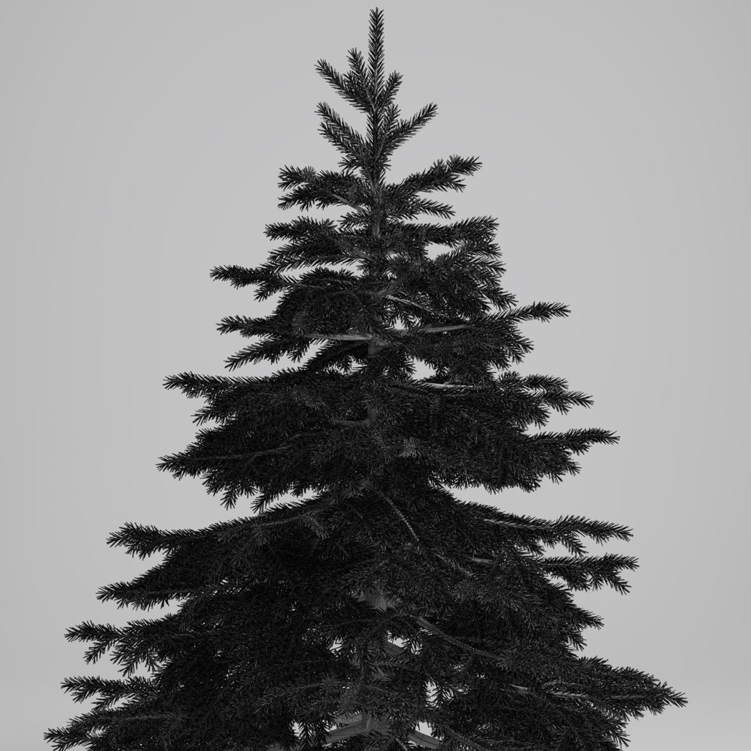 3d Fir-tree 02 Model