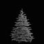 3d Fir-tree 02 Model