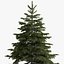 3d Fir-tree 02 Model