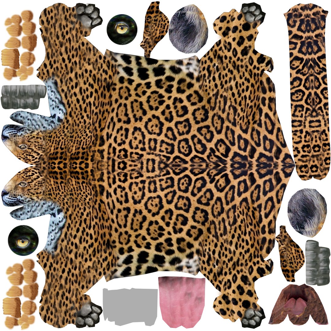 3D leopard ready - TurboSquid 1284438