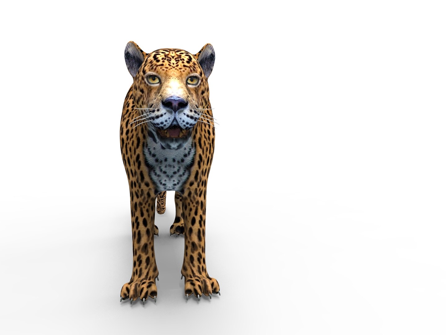 3D leopard ready - TurboSquid 1284438