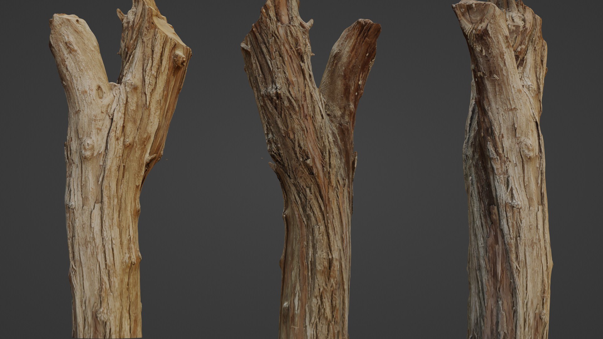 3D Scanned Tree Trunk Model - TurboSquid 2330382