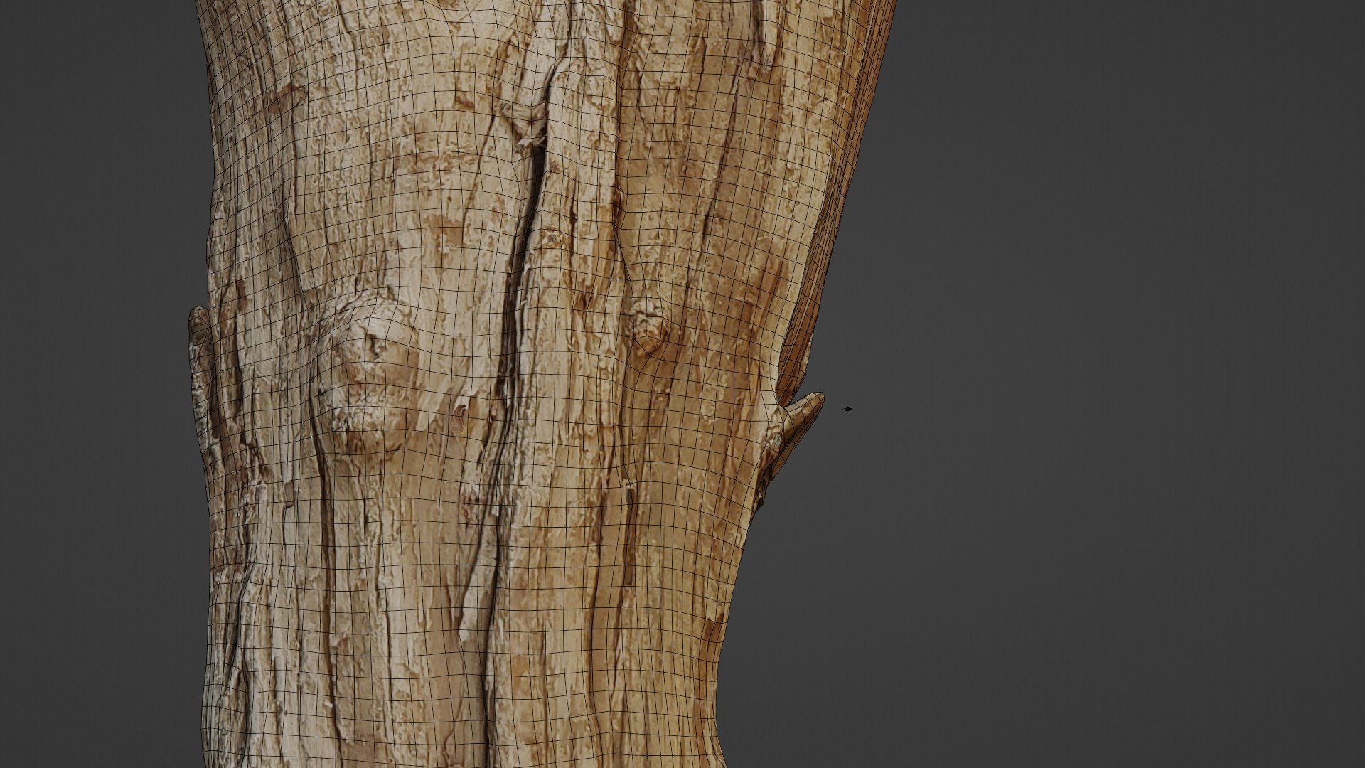 3D Scanned Tree Trunk Model - TurboSquid 2330382