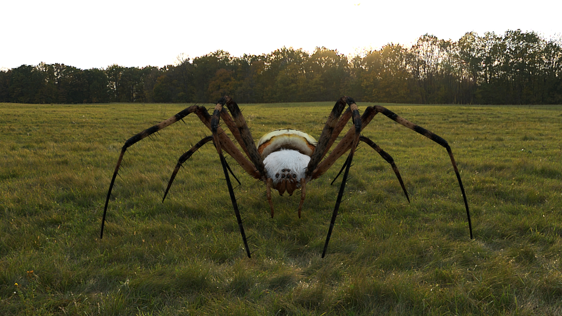 3D Model Rigged Wasp Spider - TurboSquid 2009889