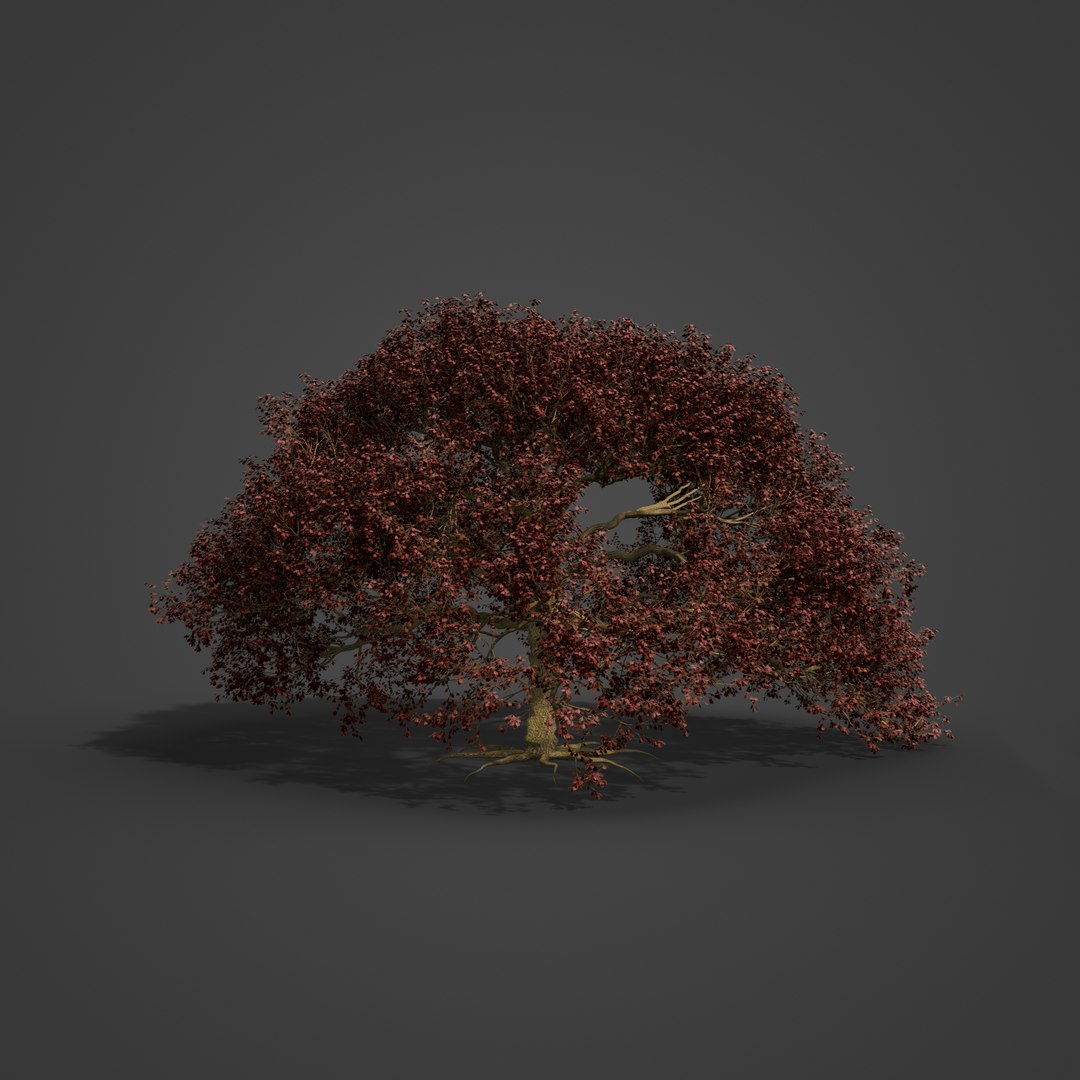 3D 2021 PBR English Oak Collection - Quercus Robur - TurboSquid 1763180