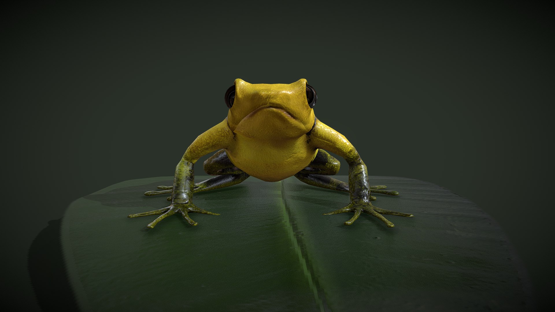 3D Golden Poison Frog - Low Poly Model - TurboSquid 1980148