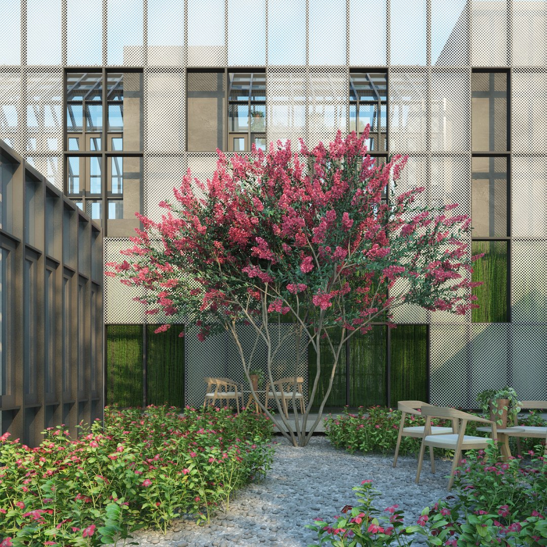 3D Crepe Myrtle Model - TurboSquid 1667006