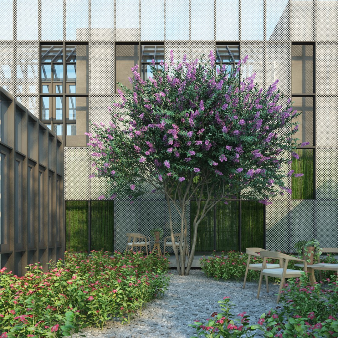 3D Crepe Myrtle Model - TurboSquid 1667006