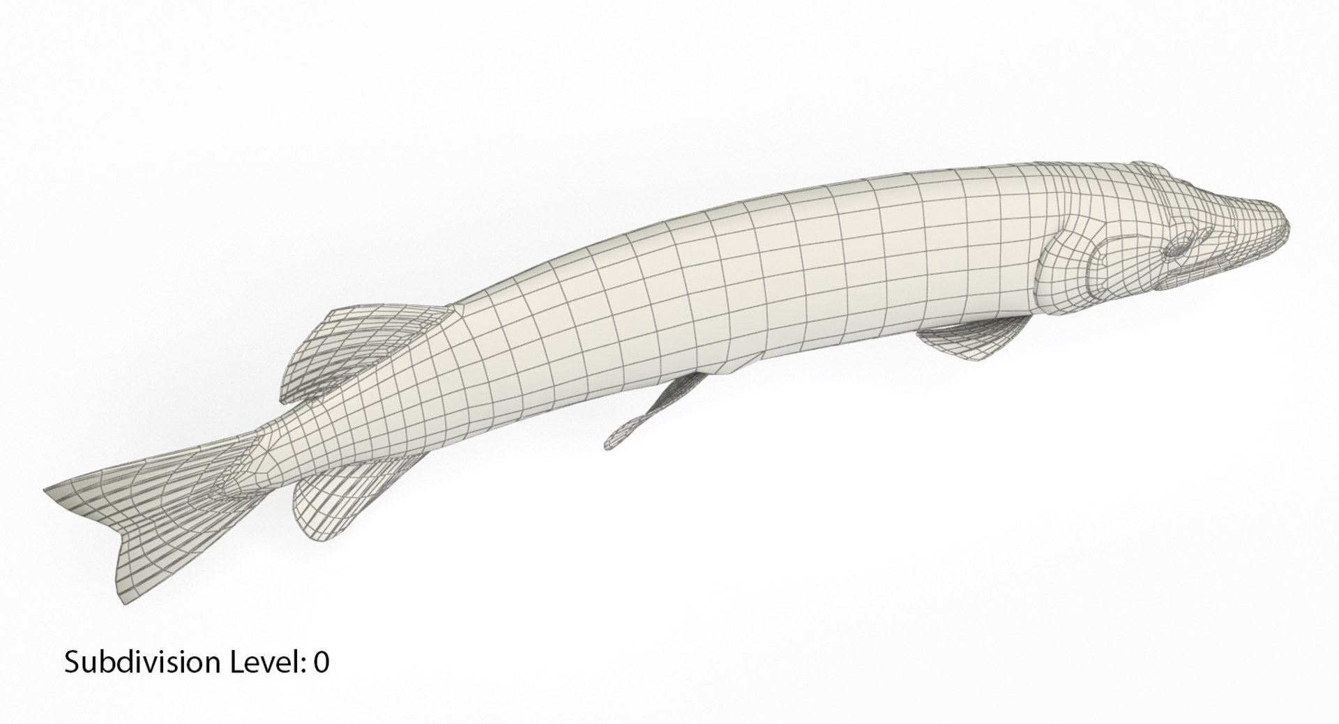 Pike Fish Animation 3d Model